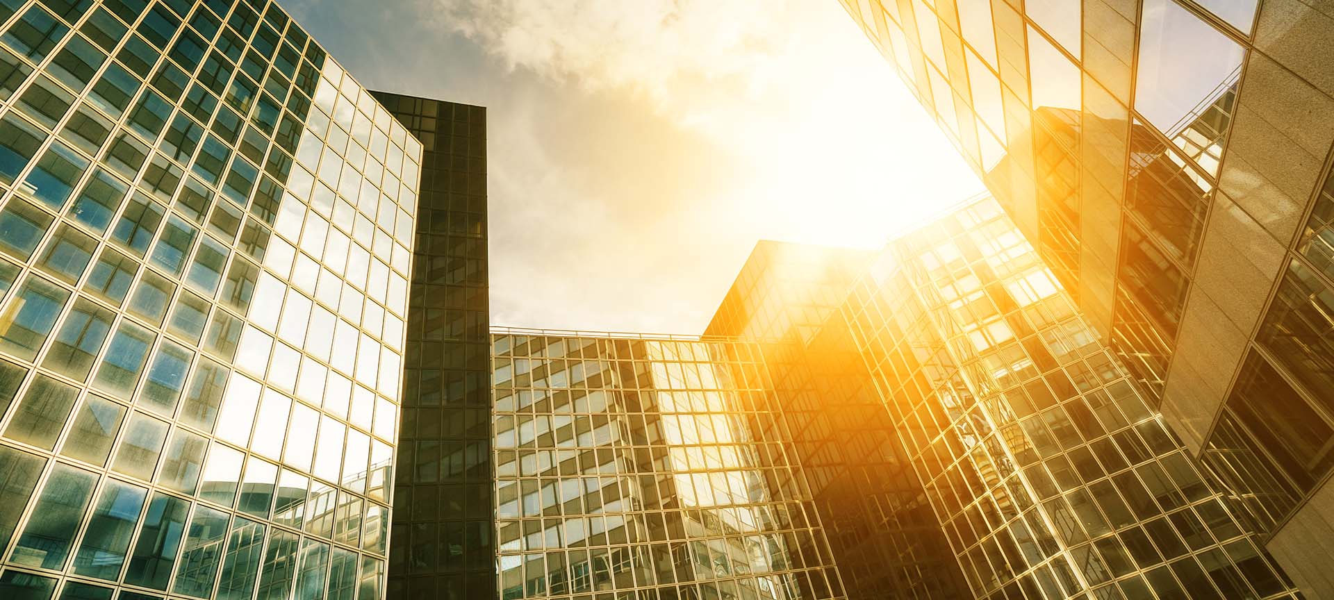 Services – WST Property Group